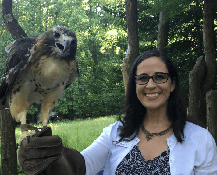Meet the Cicada Team – Periodical Cicadas