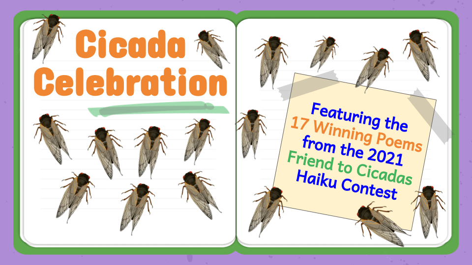 Haiku Contest – Periodical Cicadas