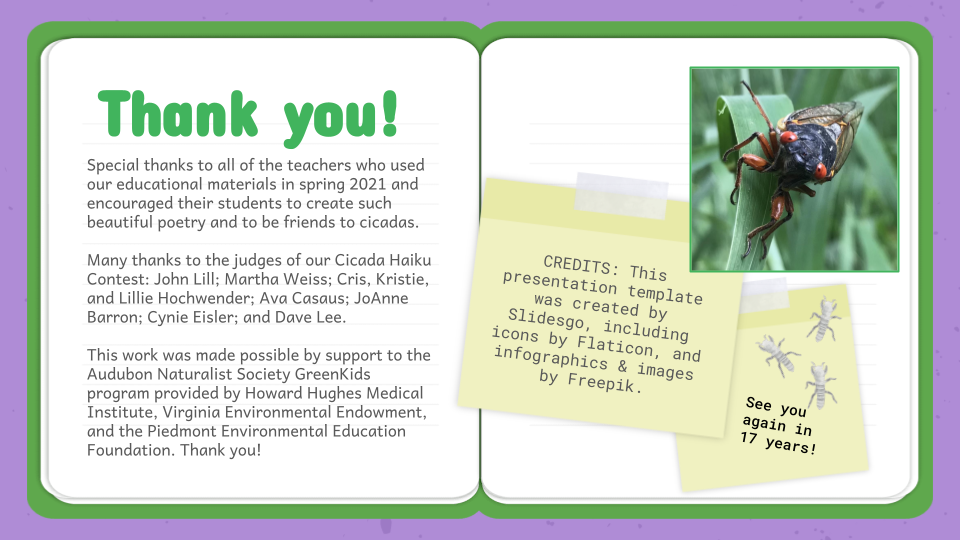 Haiku Contest – Periodical Cicadas